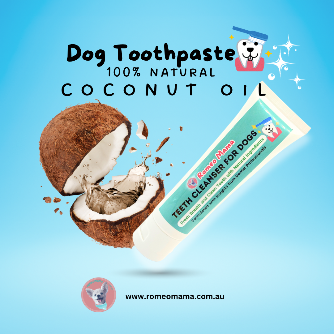 Natural Dog Toothpaste with Coconut Oil: No Artificial Colours or ...